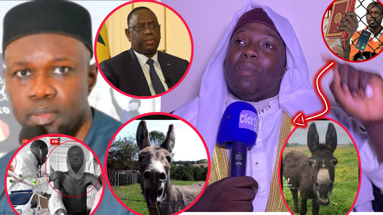 Révélations marabout de Sonko sou guénoul dina am béne kilifeu diné bou ...