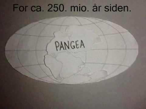 Pangea Animation - YouTube