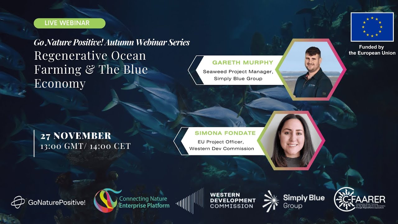 Regenerative Ocean Farming & The Blue Economy - YouTube