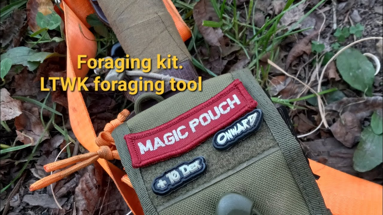 What's in my magic foraging kit ? - YouTube