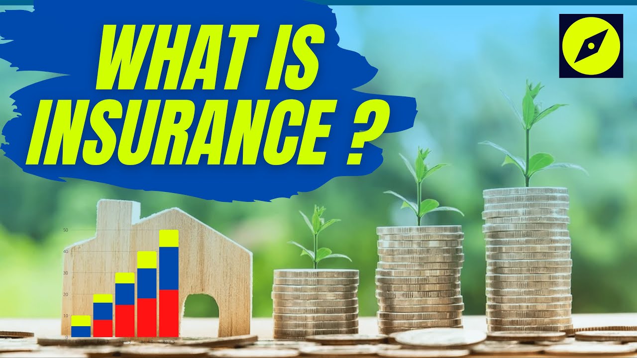 What is Insurance and Insurance Policy | Explained full Information in ...