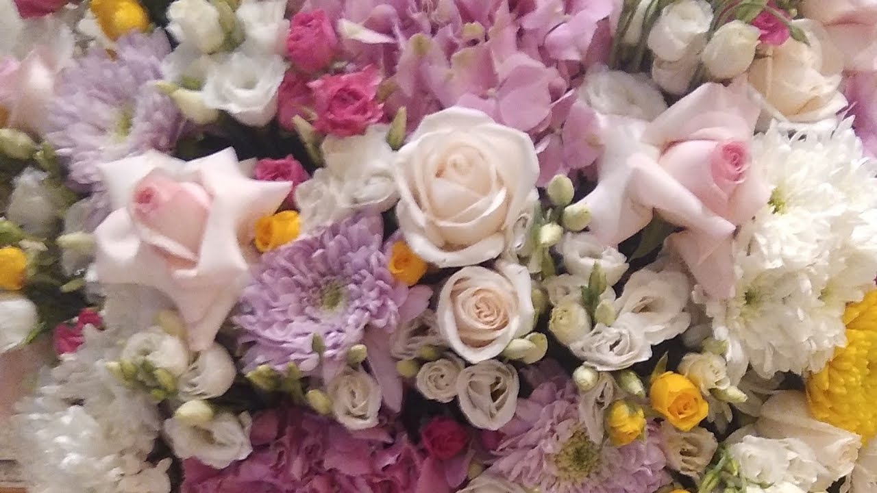 Eva mix vlog is live! - YouTube