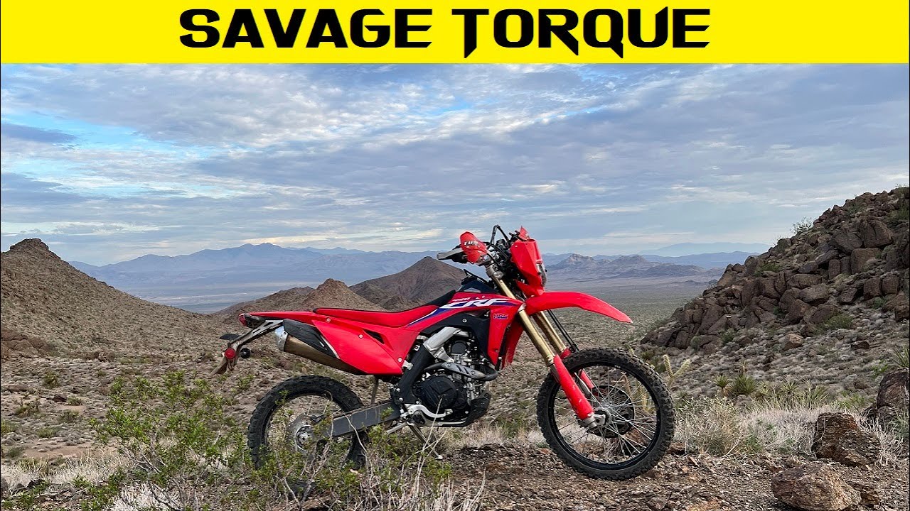 FULL Review The AiM Honda 450RL ECU | SAVAGE TORQUE - YouTube