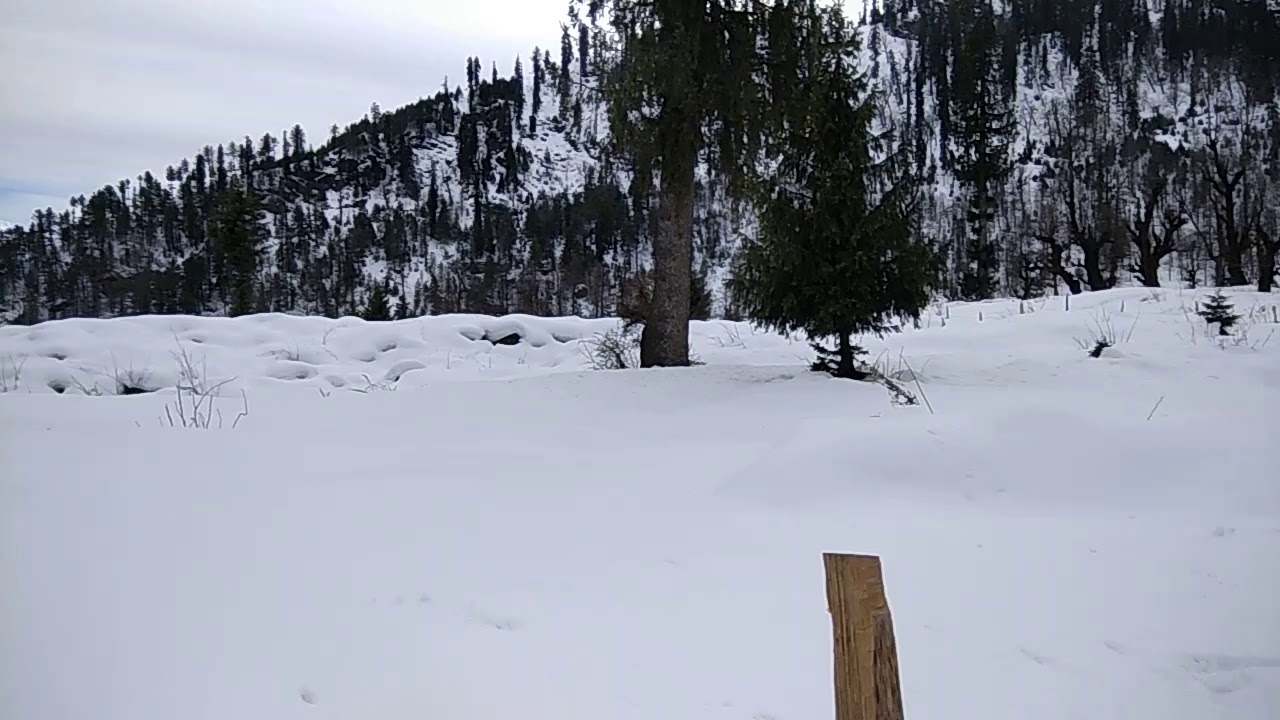 Vikendi in real life - YouTube