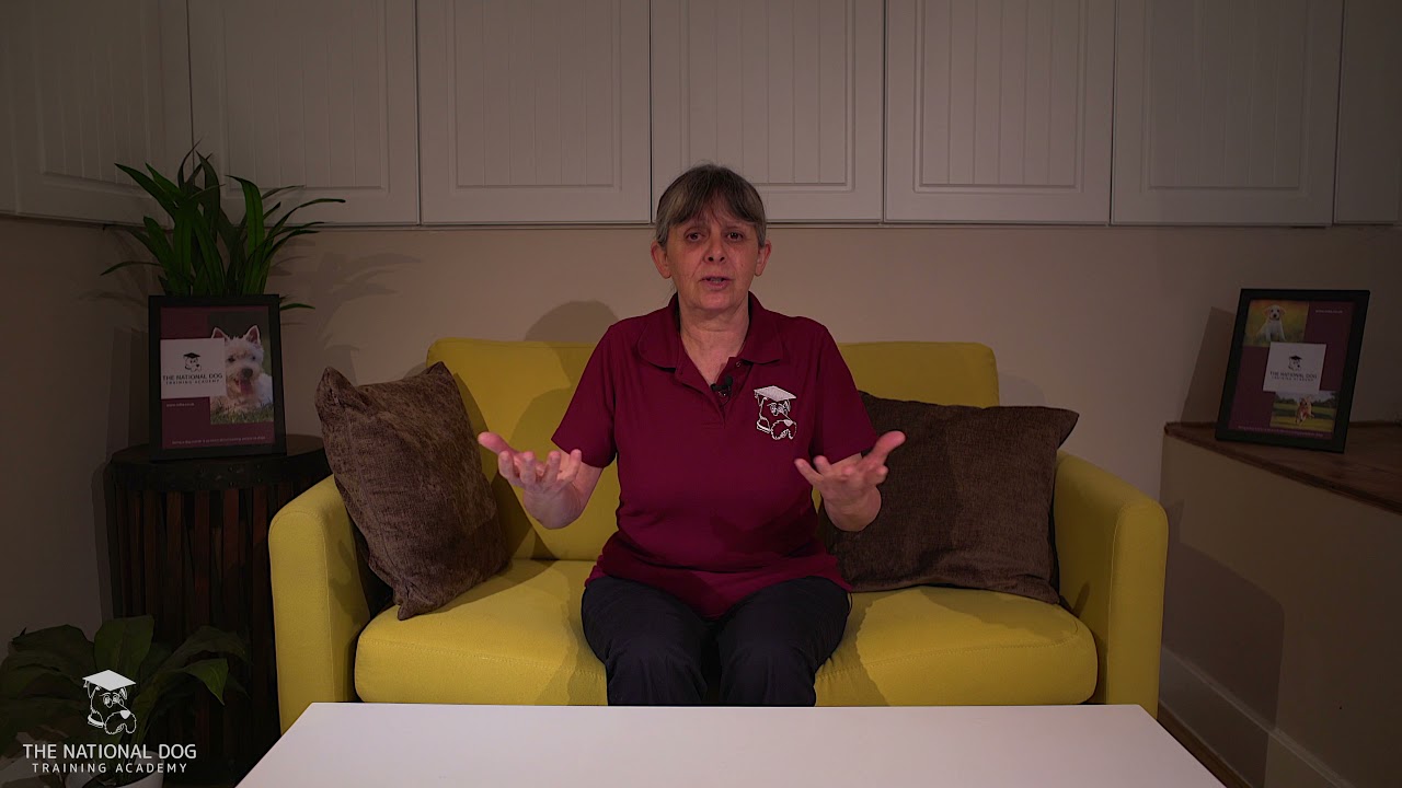 192 Scatter Food - YouTube