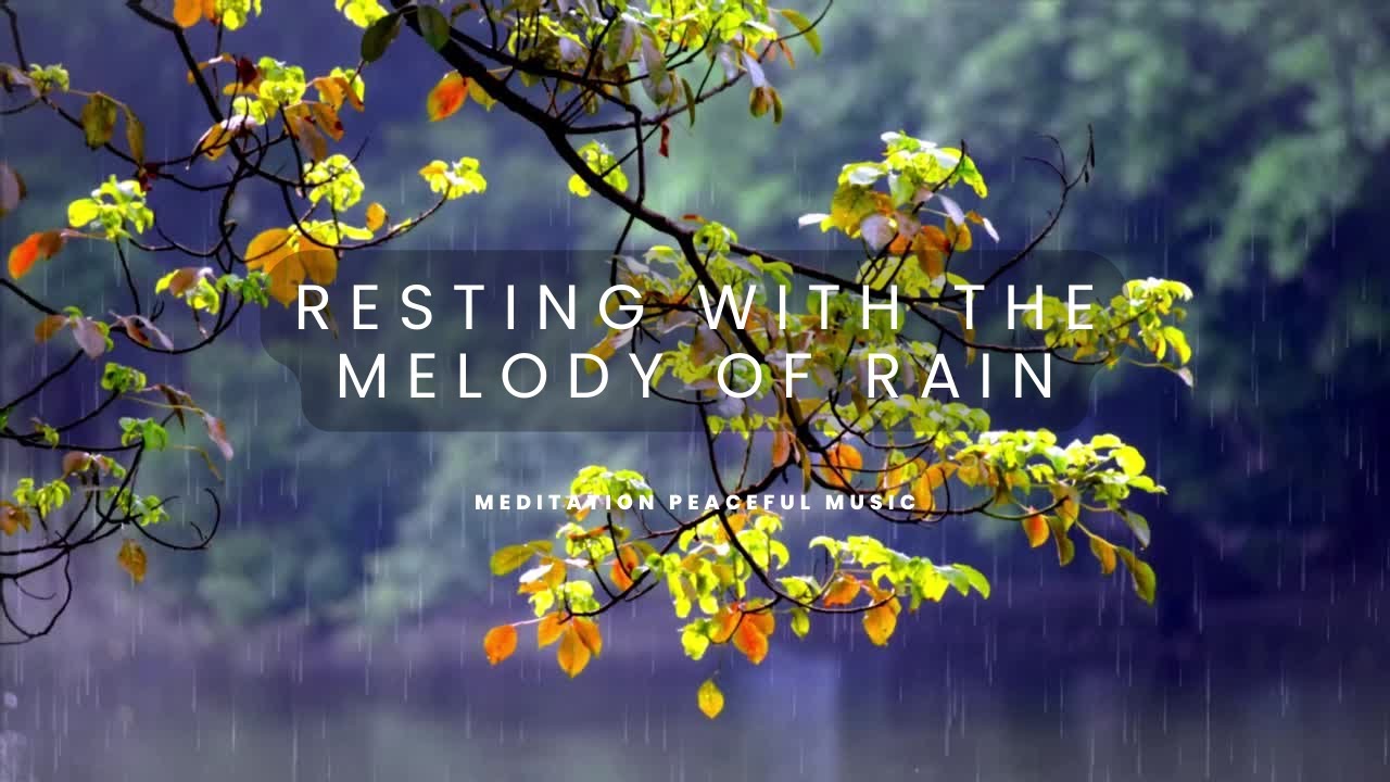 Unveiling the Secrets Behind This Peaceful Rain That'll Help You ...