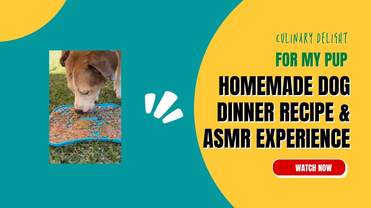 Ultimate Dog Dinner ASMR: Creating a Delicious Feast for Your Furry ...