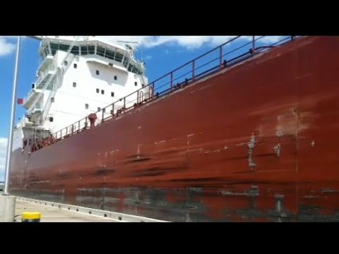 Amazing huge bulk carrier | Shipspotting Canada | Csl Welland | Raised ...