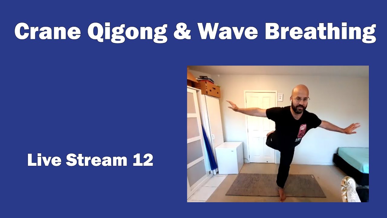Crane Qigong and Wave Breathing ☯ 🌊🌬 - Live Stream 12 - YouTube
