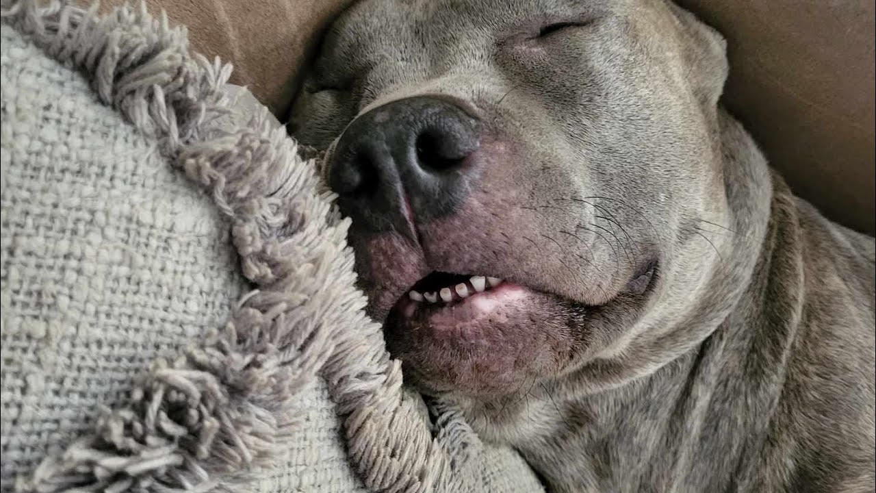 ahhahah!!! we wo we wo we wo!!!! - YouTube