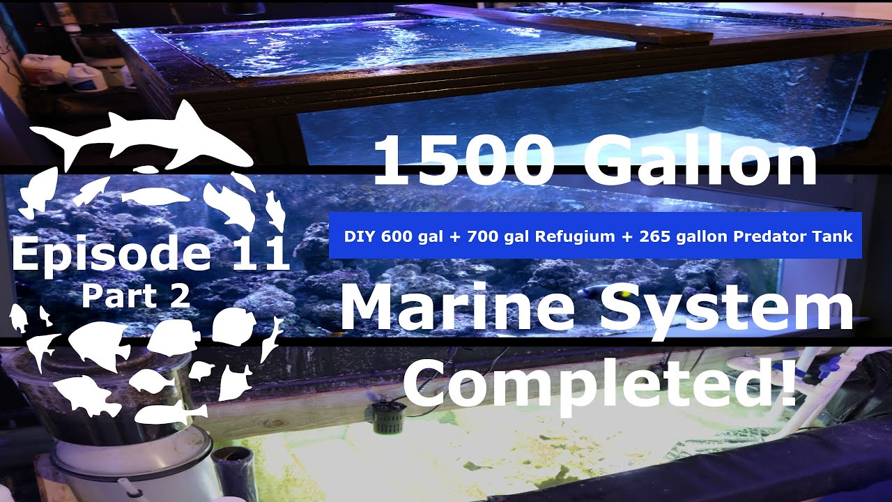 Episode 11, Part 2 :: 1500 Gallon Marine System. DIY 600 + 265 Gallon ...