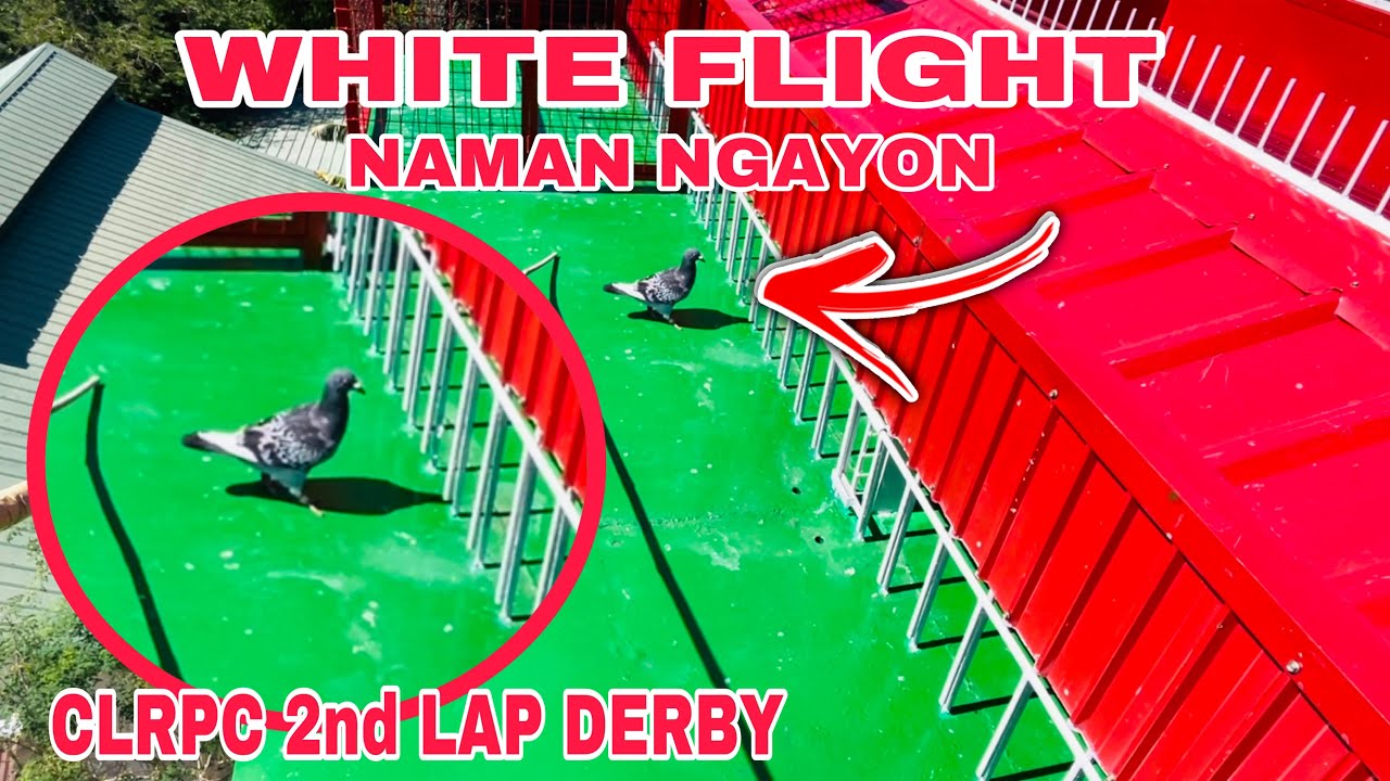 EP630 - CLRPC 2nd LAP DERBY, LAP CHAMPION MAKUHA PA KAYA? LET'S GO ...