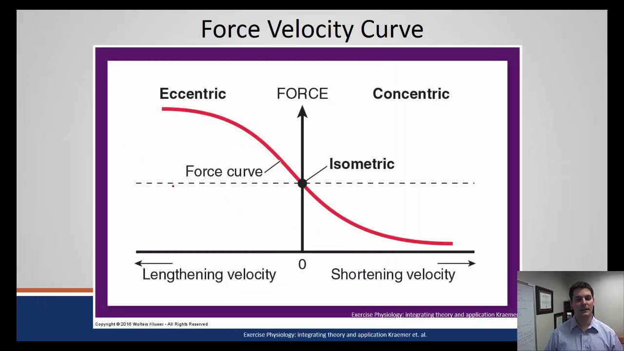 Force Velcity Curve and Training Summary - YouTube