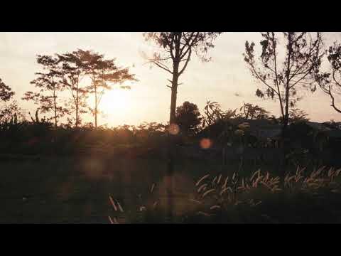 4K Peaceful Sunset Ambience in Java - Omah Kuning Cafe, Blitar Regency ...