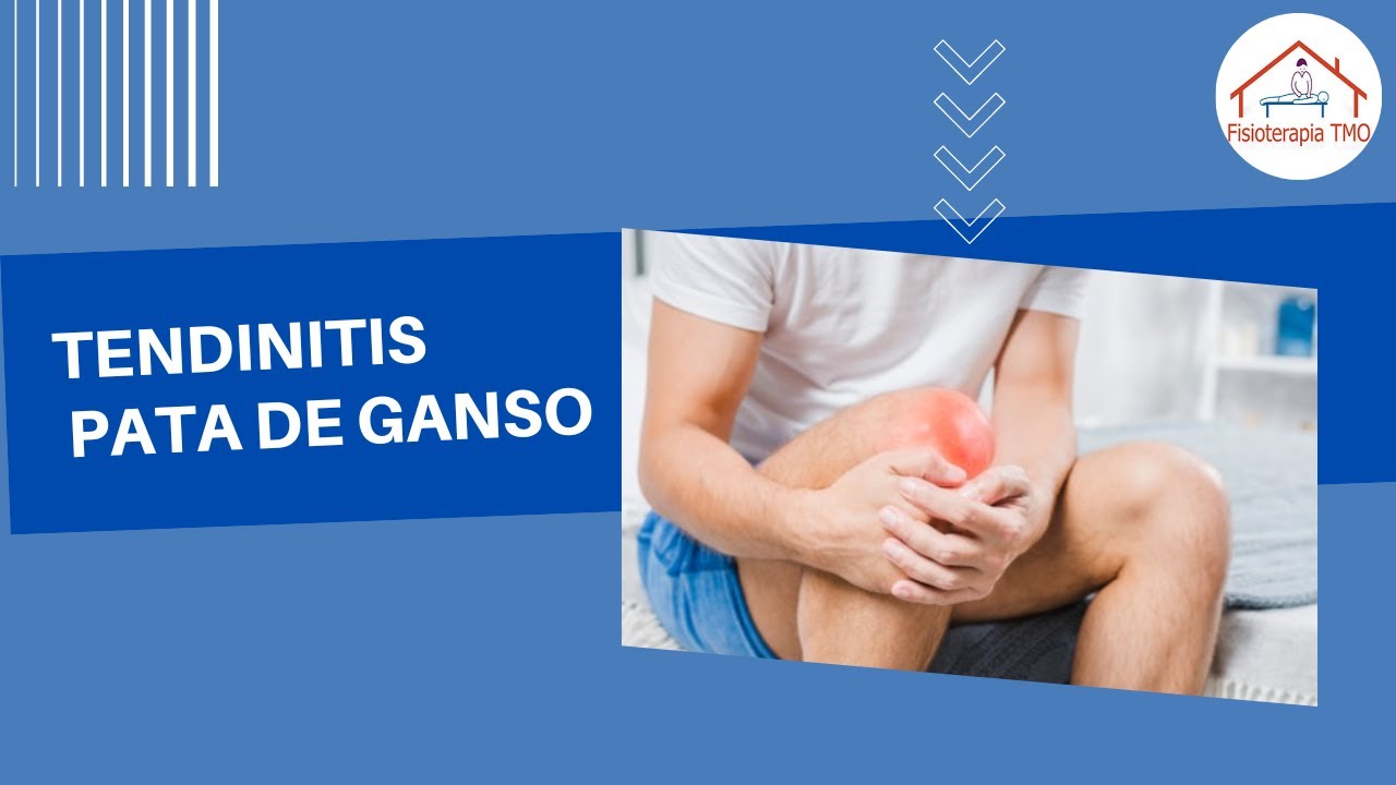 Dolor en la parte interna de la rodilla? - Tendinitis Pata de ganso ...