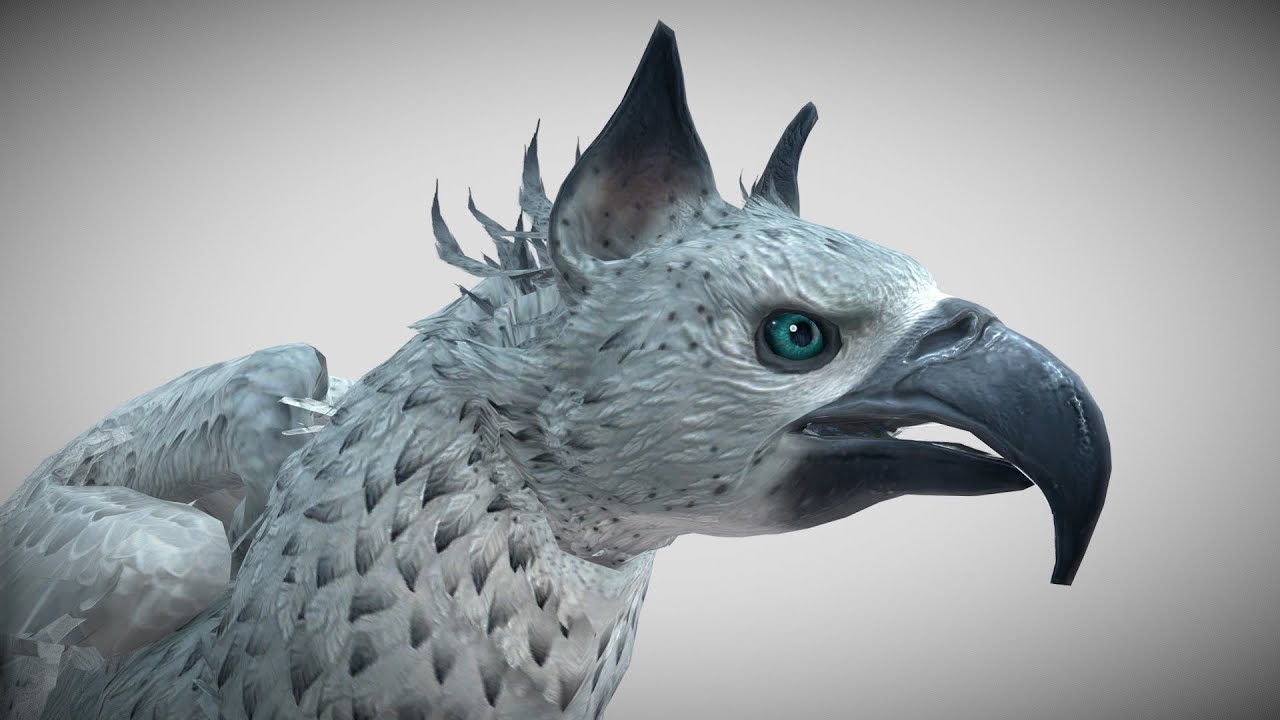 Gryphon (White) ∣ ESO › Creatures › Monsters - YouTube