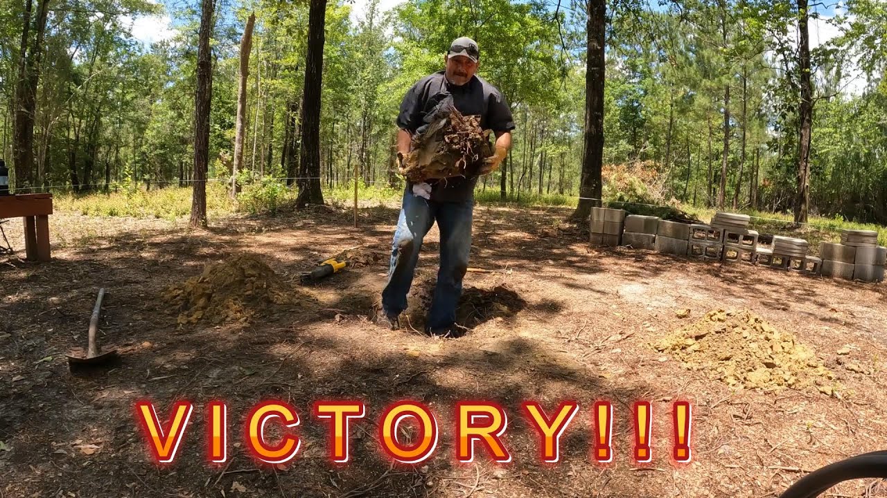 Day 14 at the Rated-R Ranch: Two Weeks In | Stump’s Out and New Trails ...