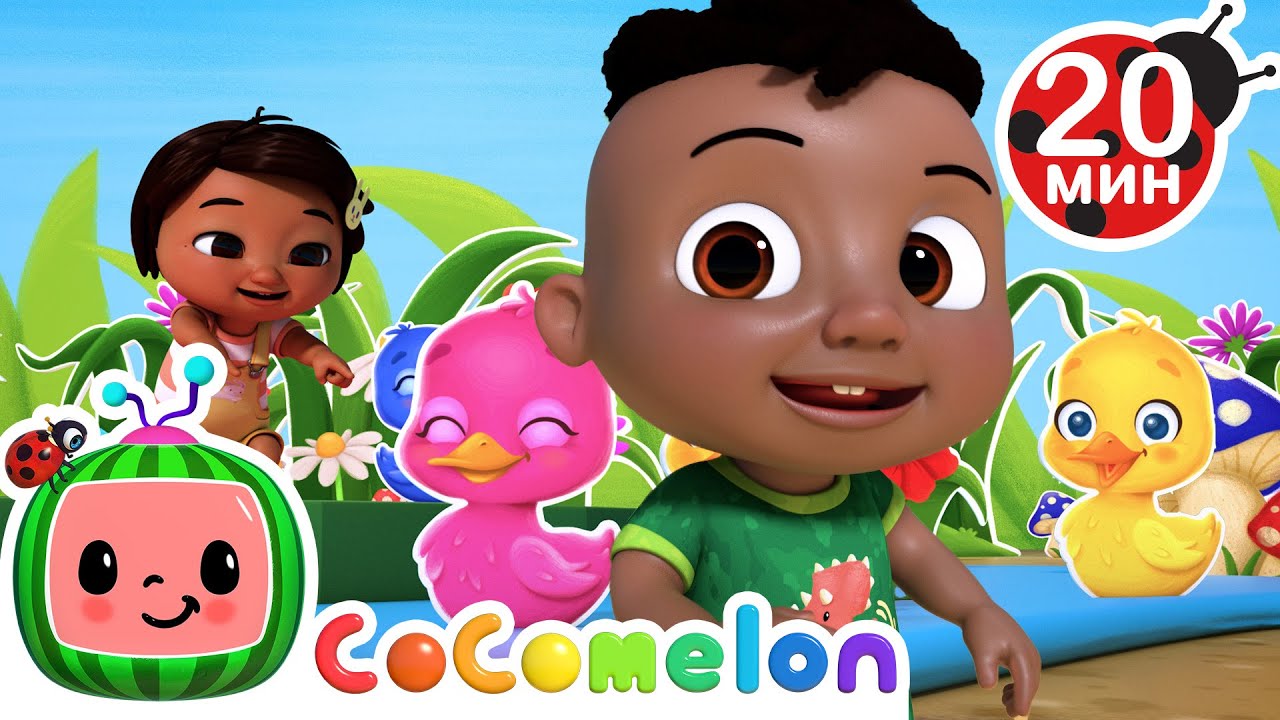 Duck Hide and Seek🦆 | It's Cody Time | Educational Videos For Kids ...