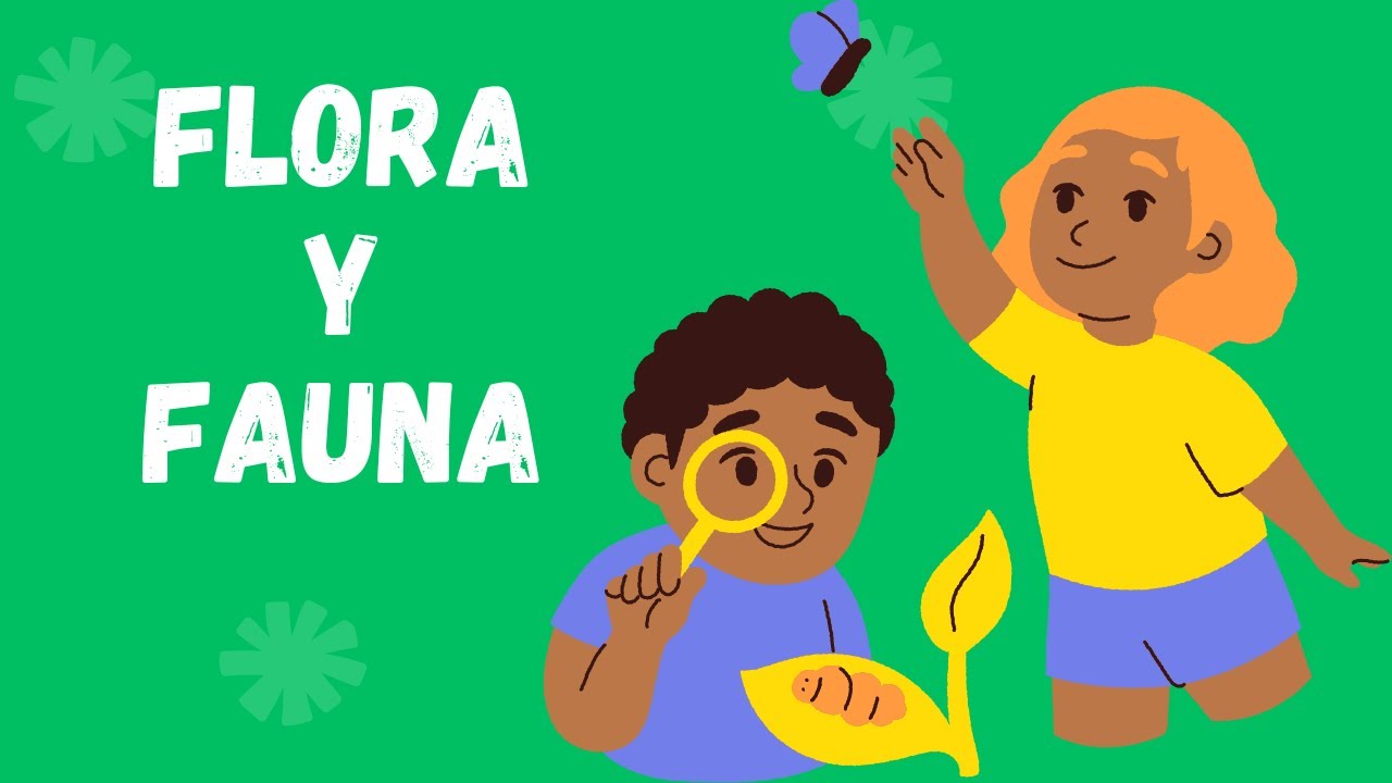 HORA DE APRENDER - Flora y Fauna 2 - NIÑOS - YouTube