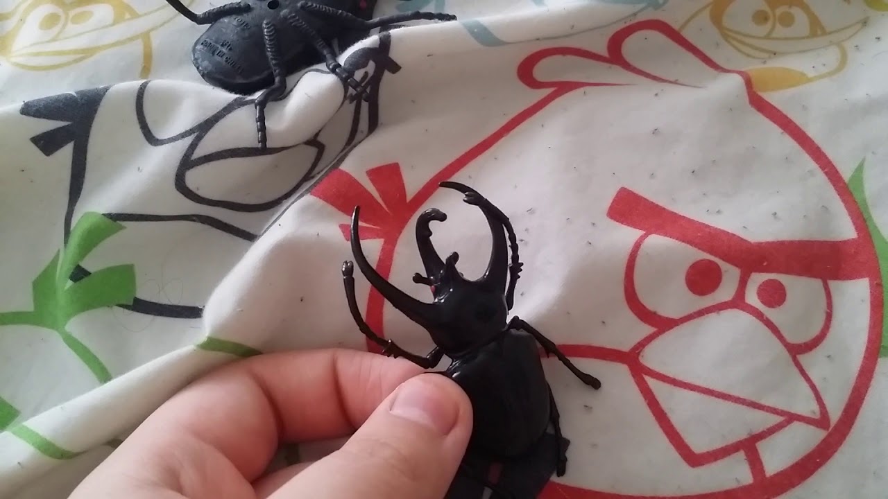 What happens to ant colonies in the wild 2 return of pincers - YouTube