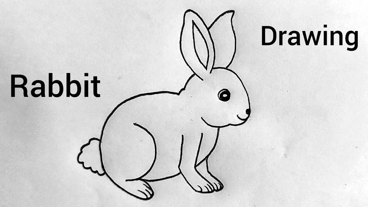 Rabbit Drawing 🐰 खरगोश का चित्र | How to Draw a Rabbit🐇Khargosh drawing ...