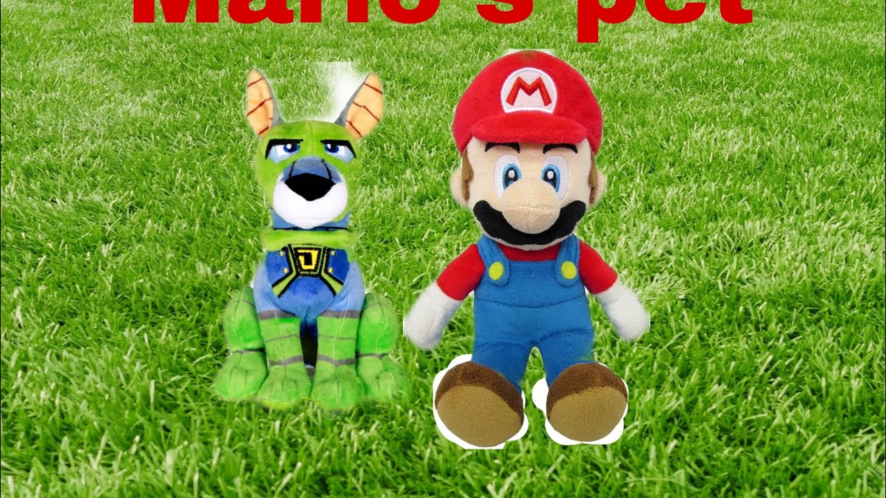 Mario’s pet - YouTube
