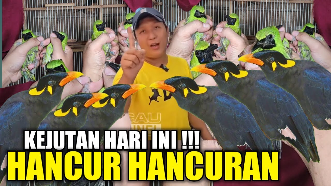 BEO 300 RIBU, KONIN 30 RIBU !!! CUMA KIOS SKJ YG NEKAD JUAL RUGI ...