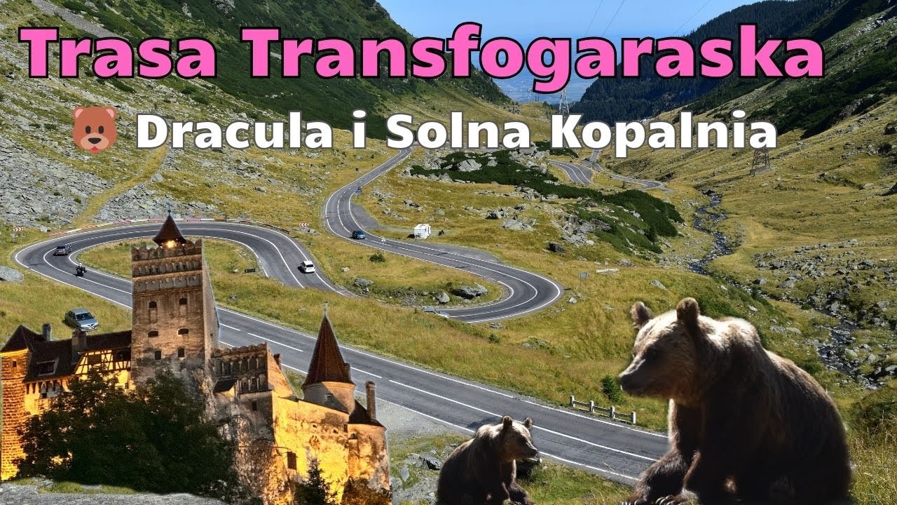 Trasa Transfogarska, Niedźwiedź na drodze i Drakula w zamkach. Magiczna ...