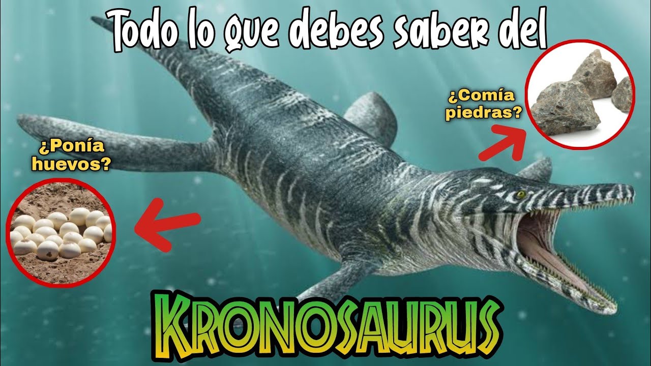 KRONOSAURUS | CONOCE A ESTA MAGNIFICA CRIATURA | Datos y Curiosidades ...