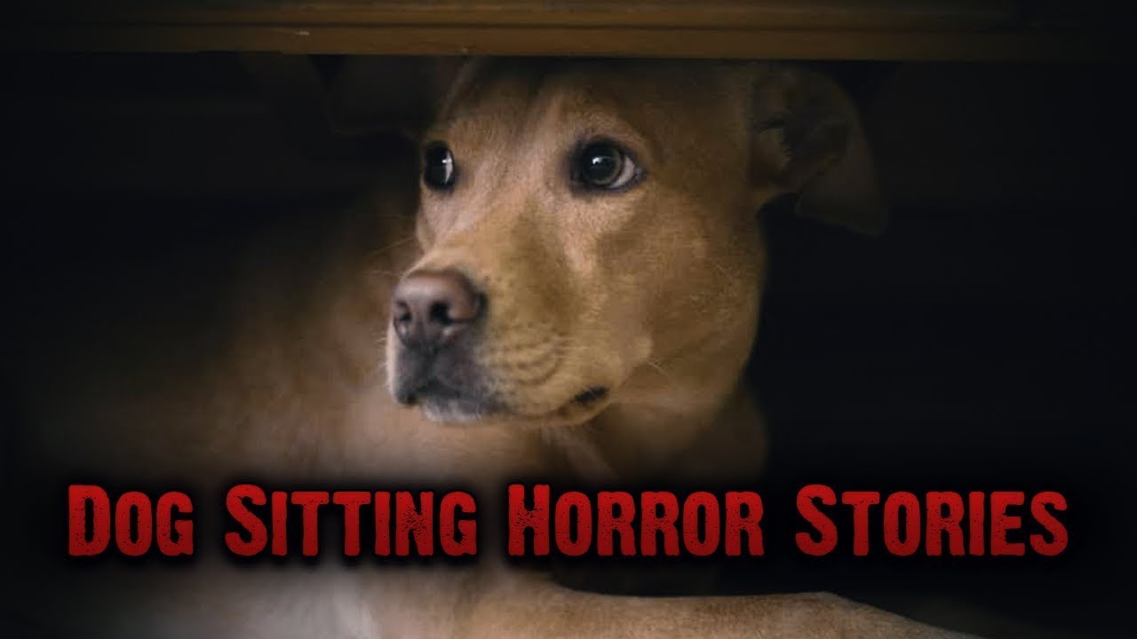 Allegedly TRUE Dog Sitting Horror Stories - YouTube