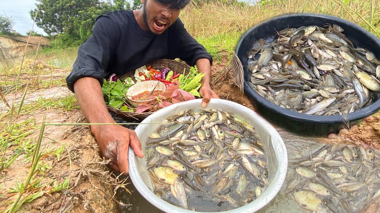 This all of man eating alive fish look so delicious🐟🐟 - YouTube