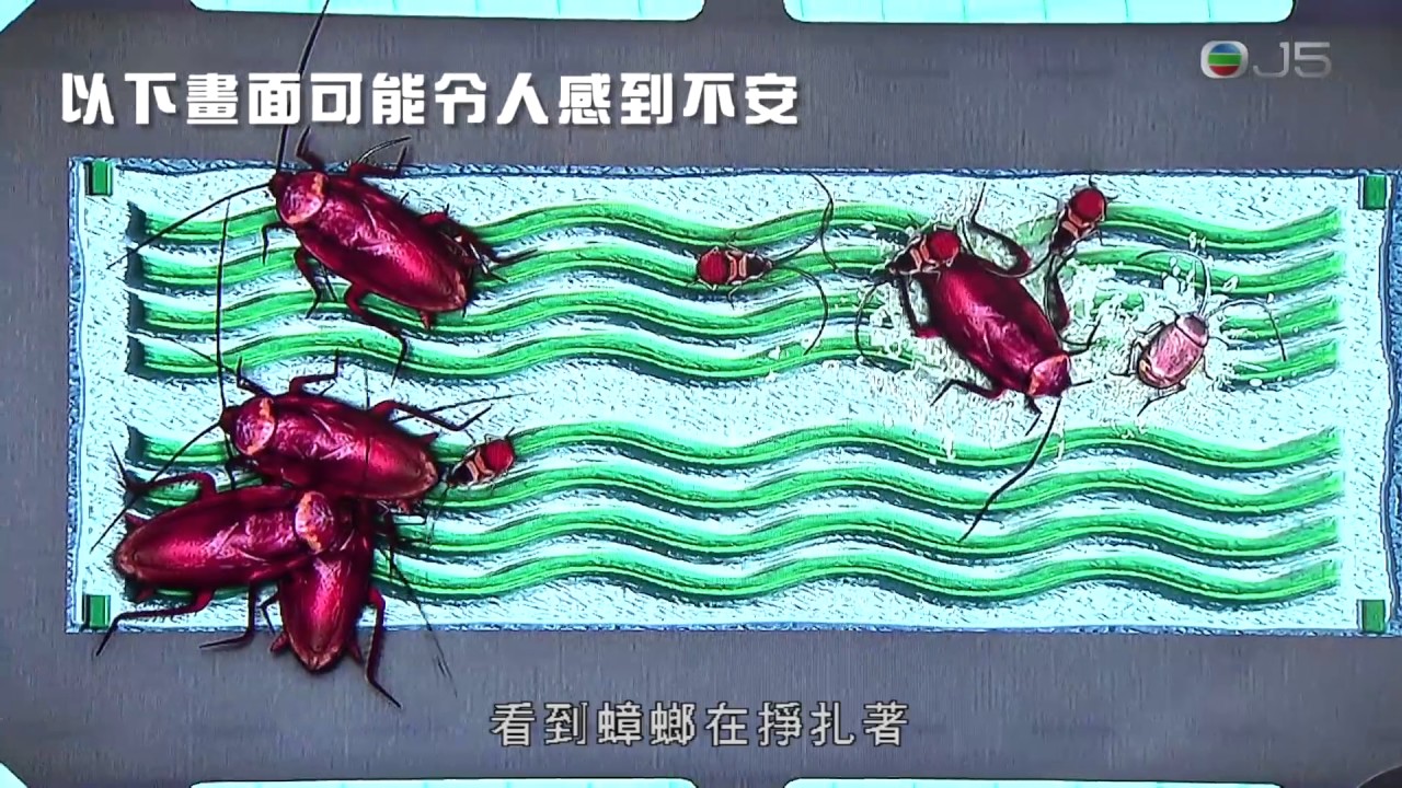 GO!CATCHER!!! on TVB J5 - YouTube