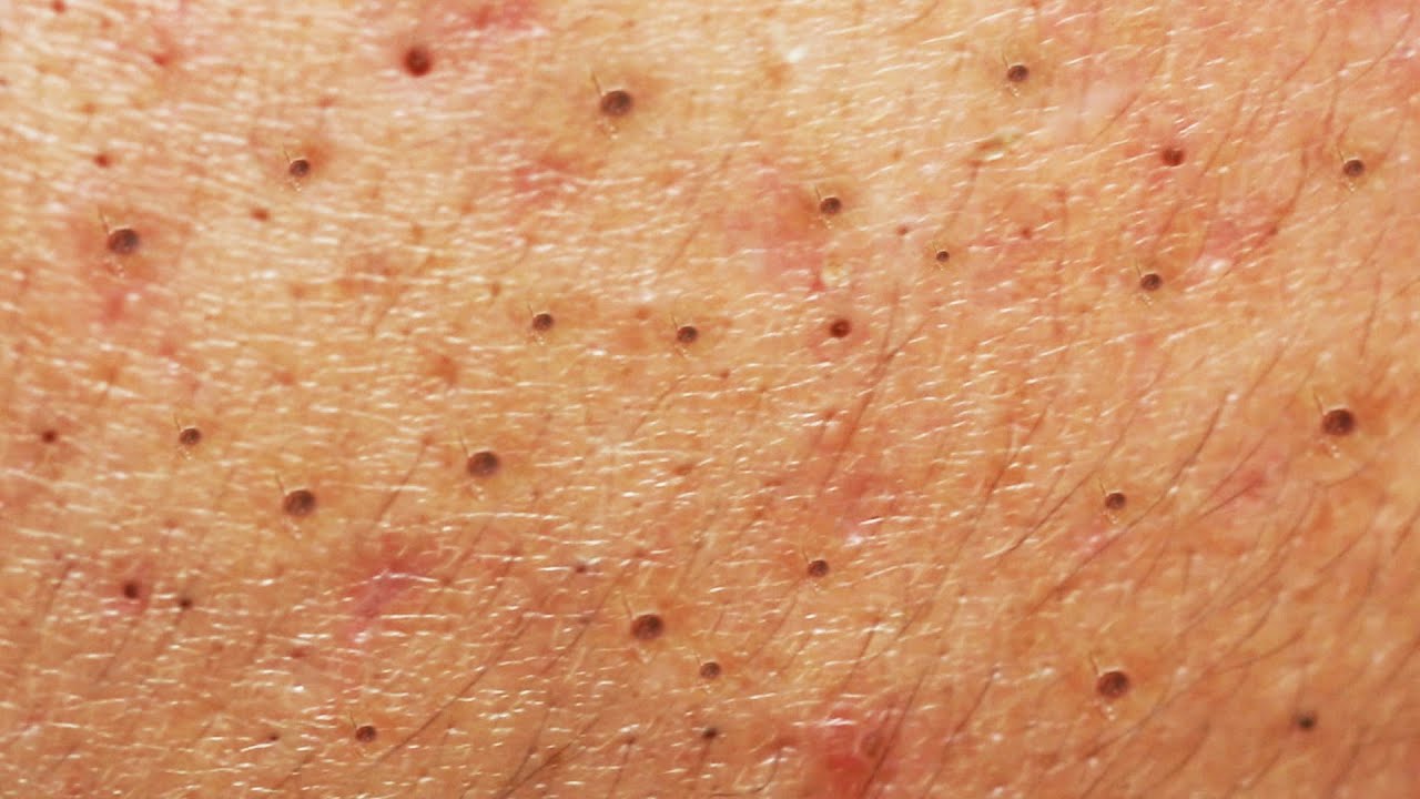 Relaxing Time Every Day with Sophia Skin Care 2 #58 - YouTube