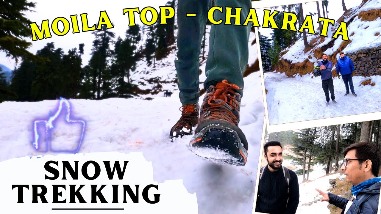 Moila Top Chakrata | Hidden Gem of Uttarakhand | Heavy Snowfall & Best ...