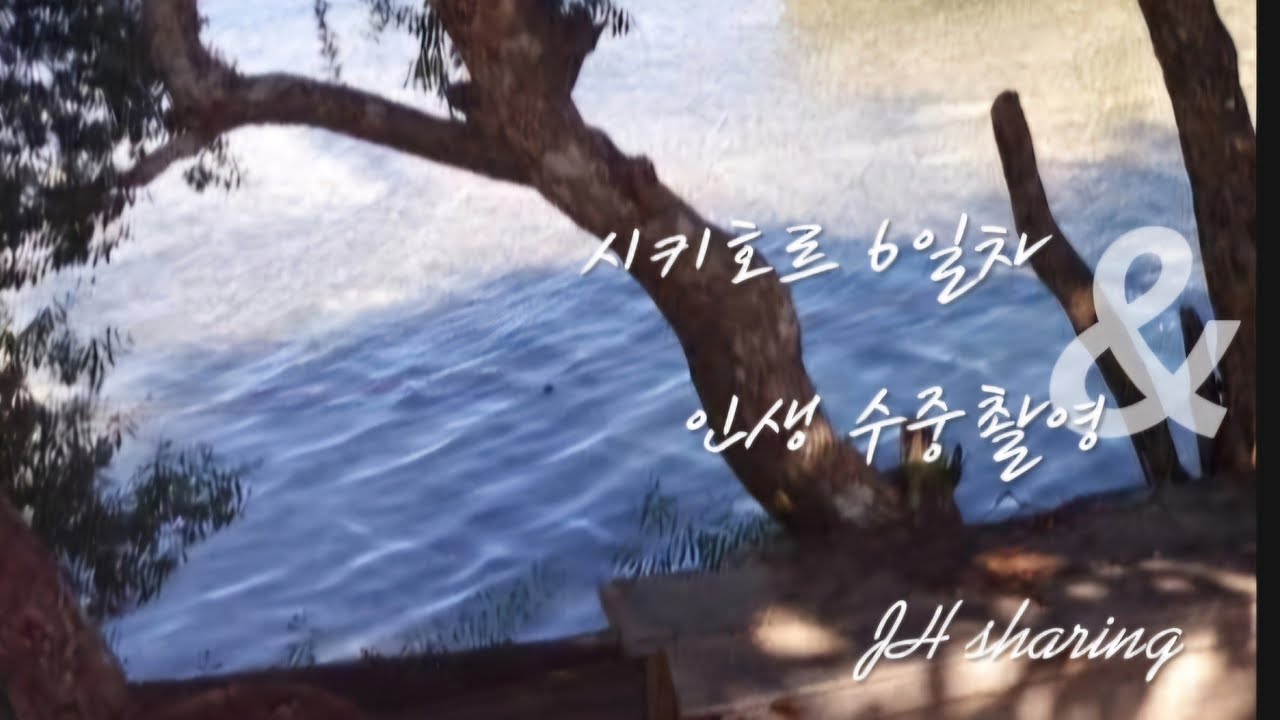 🇵🇭 필리핀여행(6) 시키호르 Dumanhog white beach / Caticugan Marine Sanctuary 프리 ...