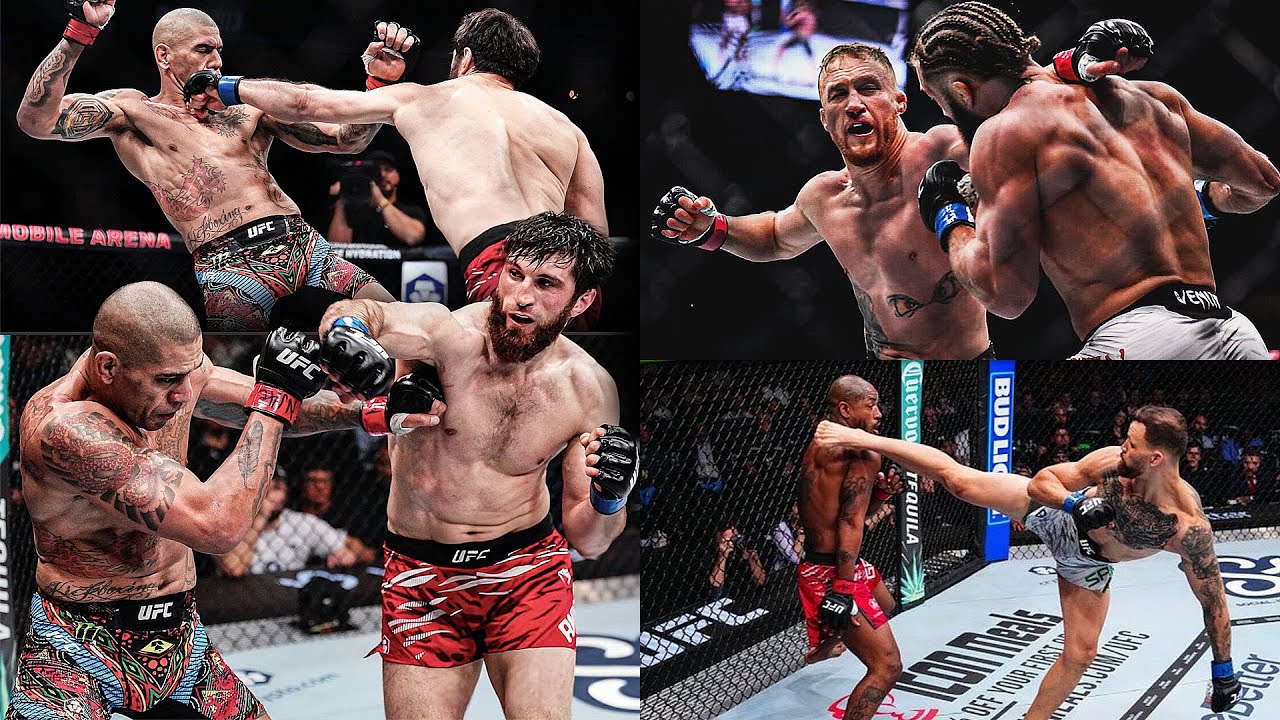 ANKALAEV SILENCES PEREIRA! (+ the crowd) | VINTAGE GAETHJE! | KO OF THE ...