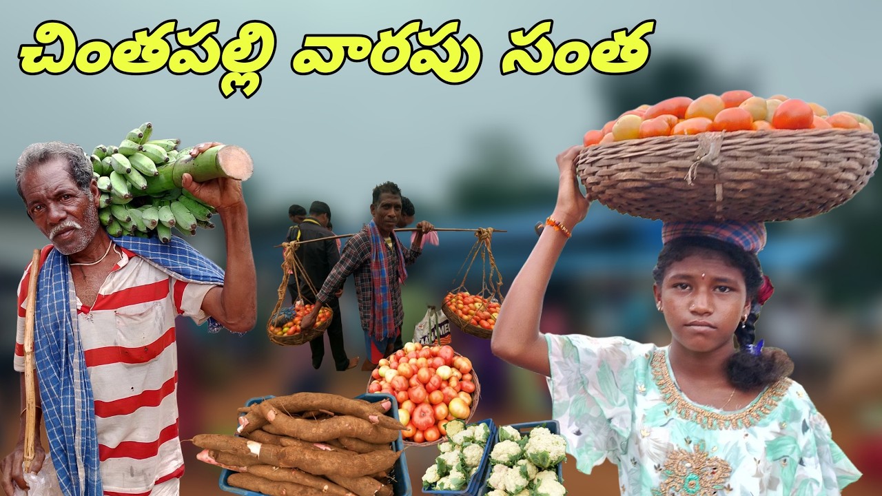చింతపల్లి వారపు సంత || Chinthapalli morning market || chinthapalli ...