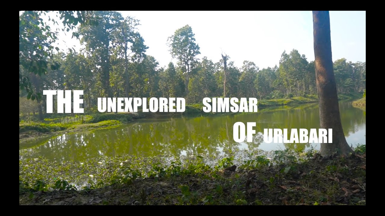 Episode-4:- Lampatey Simsar, Urlabari || The unexplored simsar of ...