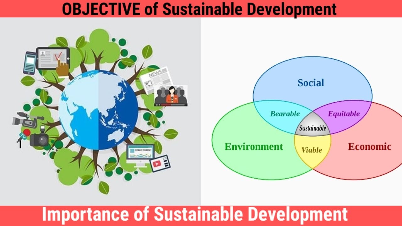 Objective of Sustainable Development | Importance of Sustainable ...