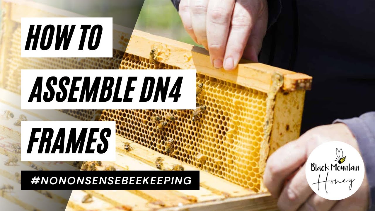 Building Brood Frames - YouTube