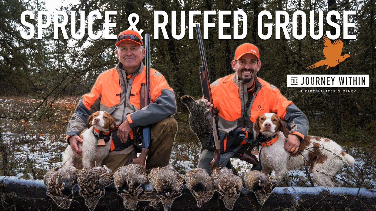 Ruffed Grouse Hunting