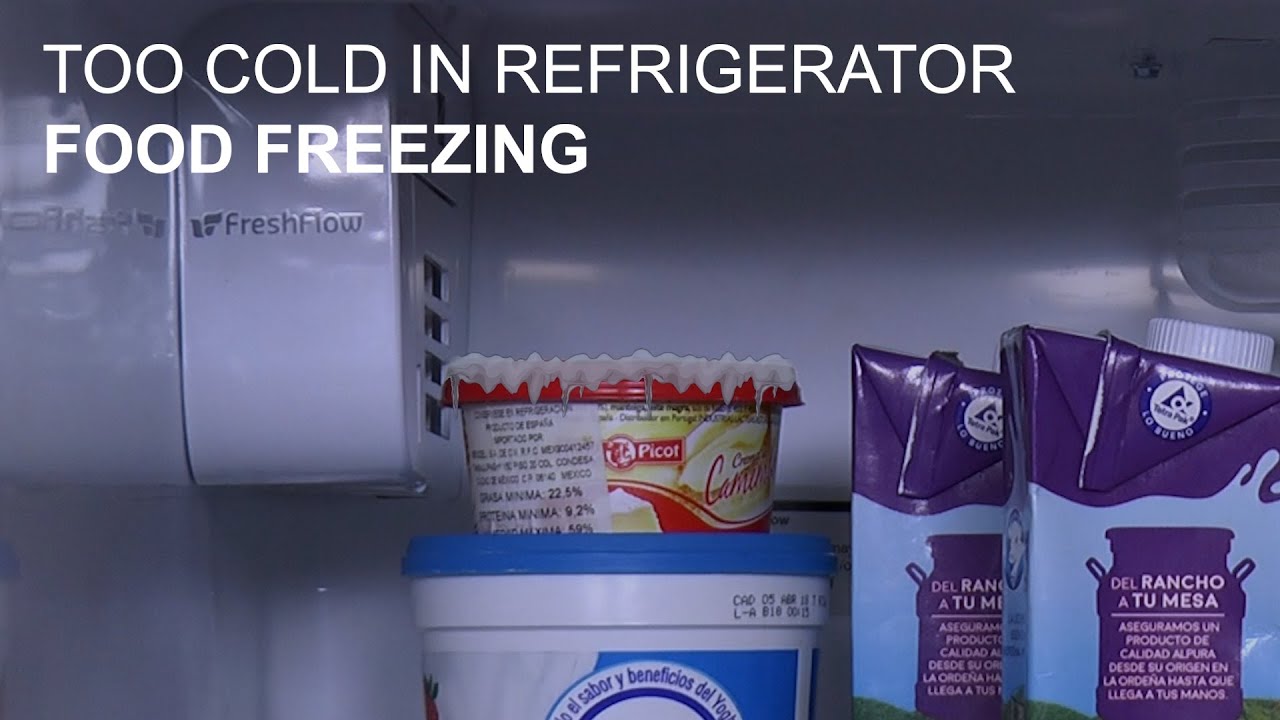 Too Cold in Refrigerator Causing Food to Freeze - YouTube