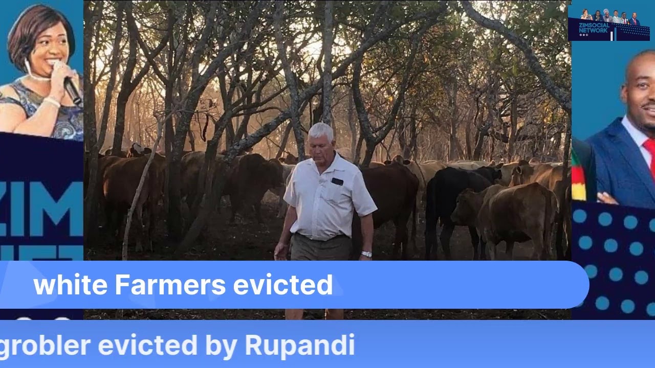 Farmer Martin Grobler Evicted By IvyRupindi. she works in Ministry of ...