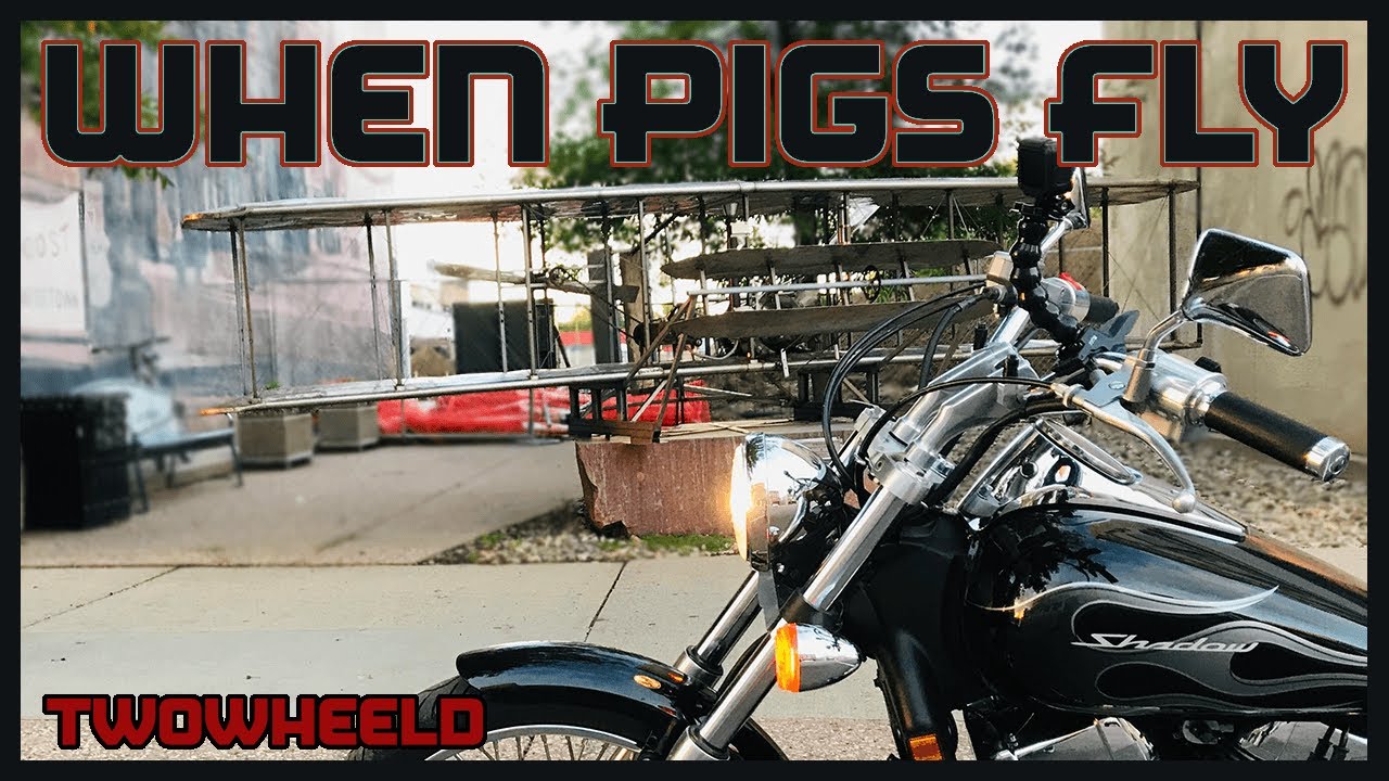 When Pigs Fly and a Beginner Motorcycle | Honda Shadow Spirit Finds a ...