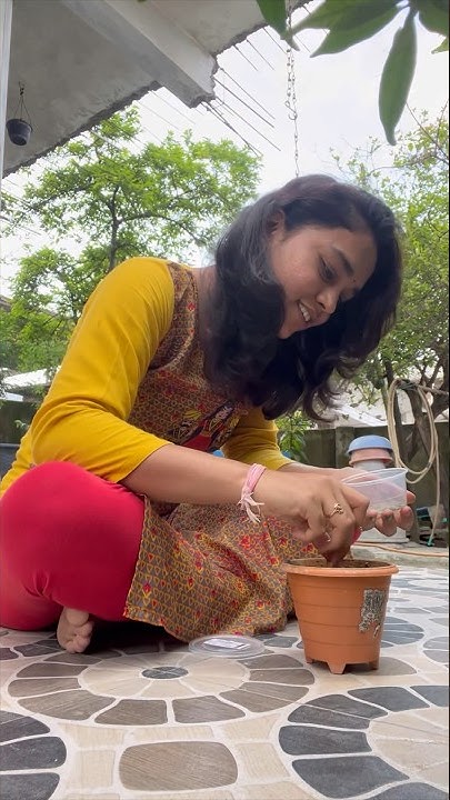 Mini vlog | DIML | Telugu shorts | #shorts #diml #minivlog #trending #viral #youtubepartner ...