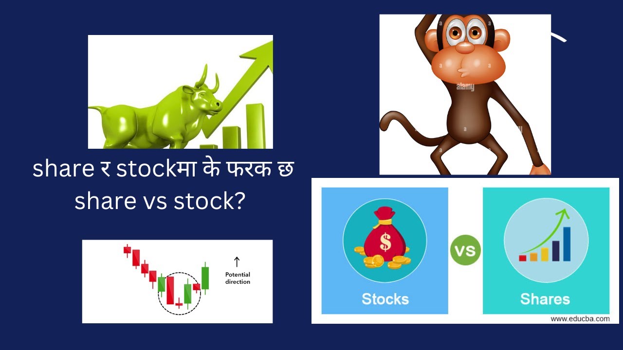 share vs stock/share र stockमा के फरक छ ?share vs stock - YouTube