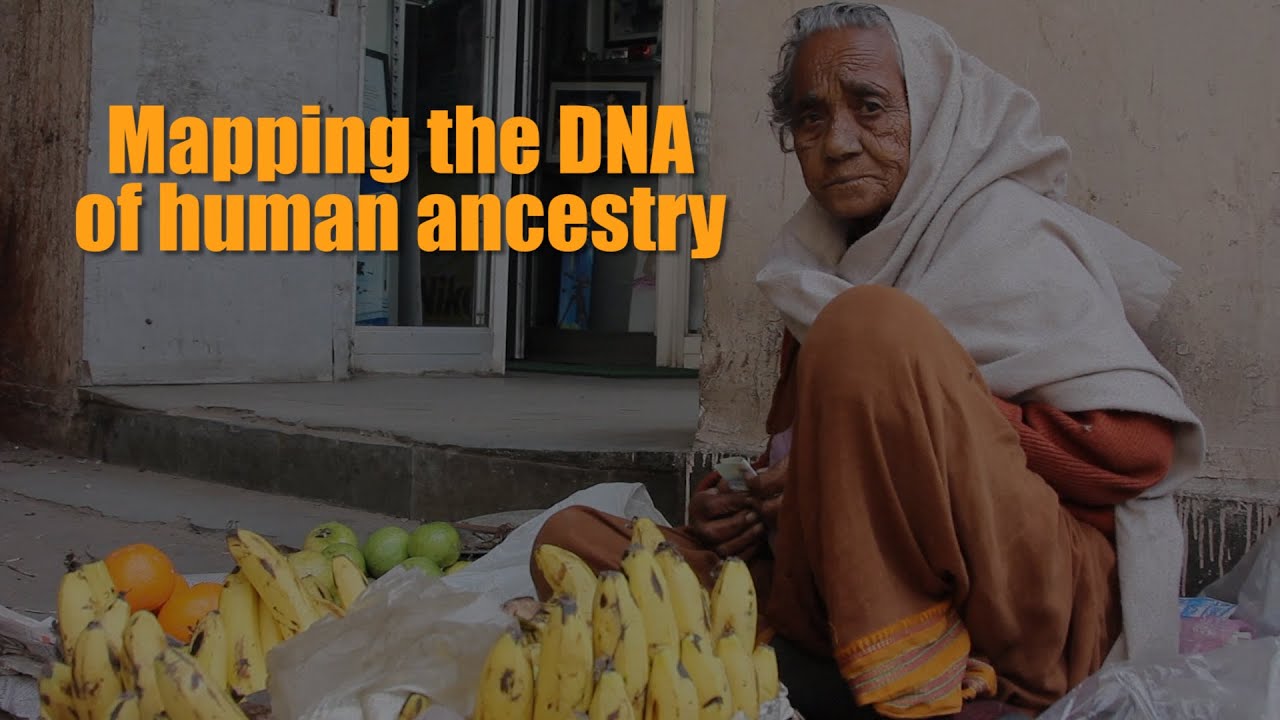Mapping the DNA of human ancestry - YouTube