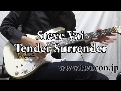 Steve Vai / Tender Surrender(ぼっち Guitar Cover) - YouTube Music