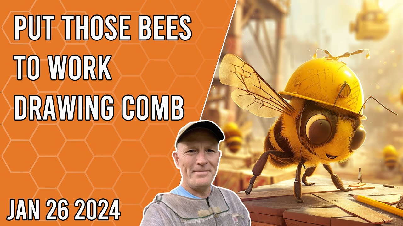 Put Those Bees To Work Drawing Comb! - Jacksonville FL Zone 9b - YouTube