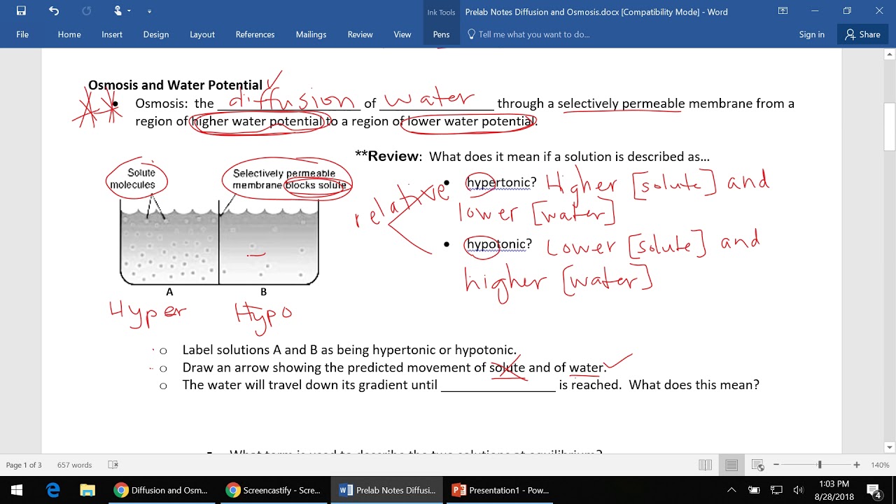 Pre-lab Notes: Diffusion and Osmosis (Part 1) - YouTube